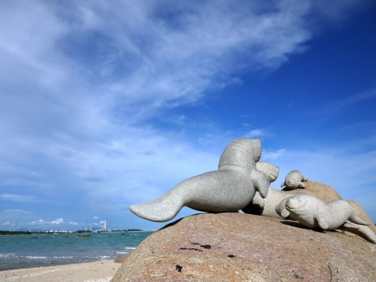 Dugong Facts and Threats: Protecting Marine Giants - World Animal Council